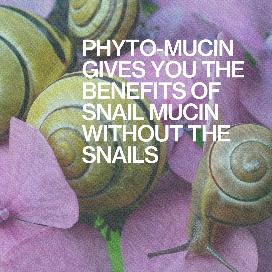 Hydrodew Vegan Mucin Barrier Face Moisturizer